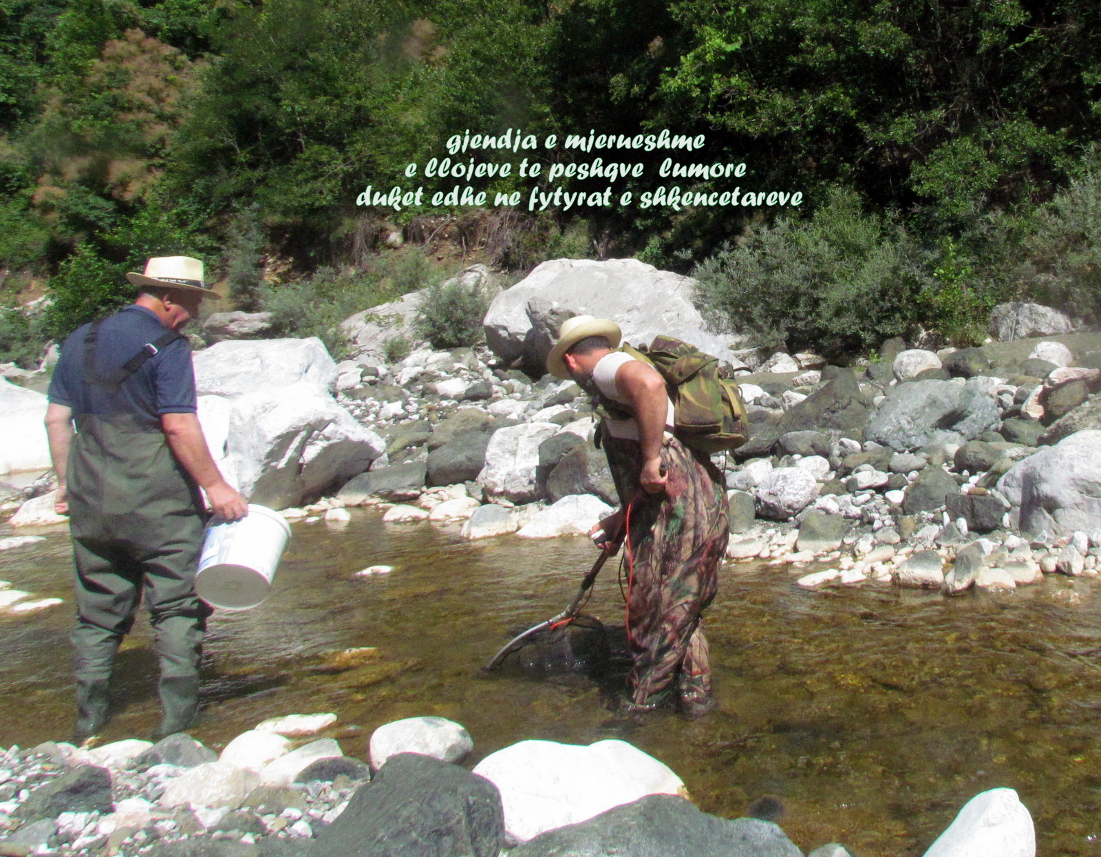 WFMD2022 – Albania – World Fish Migration Day