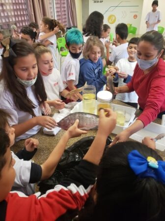 WFMD2022 – Brazil – World Fish Migration Day